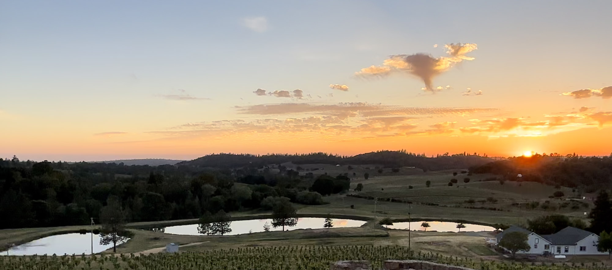 Four Ponds Estate Winery | Amador County Handcrafted Wines
